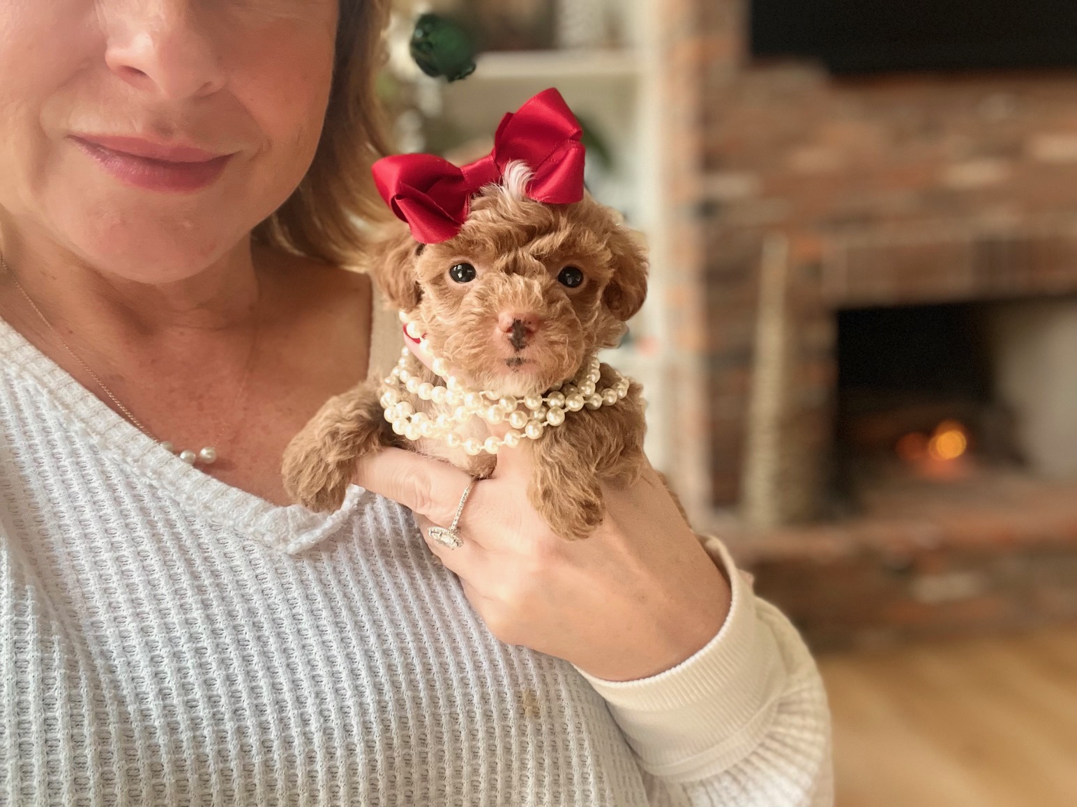 Louisiana Dog Breeder | Princess Puppies!